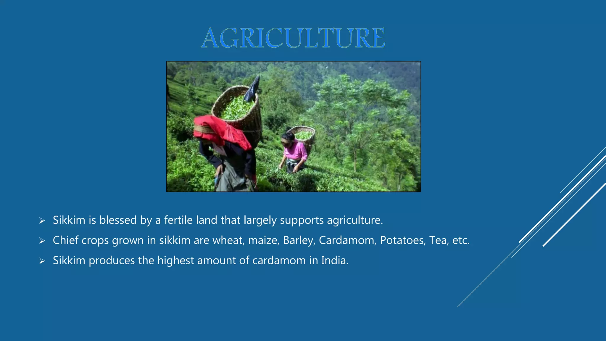 Natural resources of Sikkim | PPTX