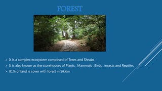 Natural resources of Sikkim | PPTX