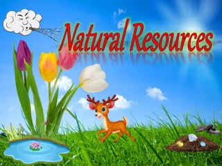 Natural resources | PPTX
