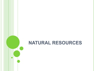 Natural Resources | PPTX