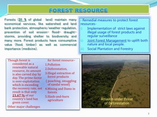 Natural Resources | PPTX
