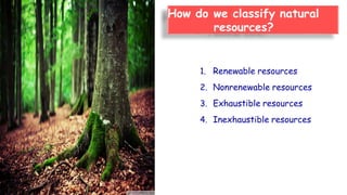 NATURAL RESOURCES | PPTX
