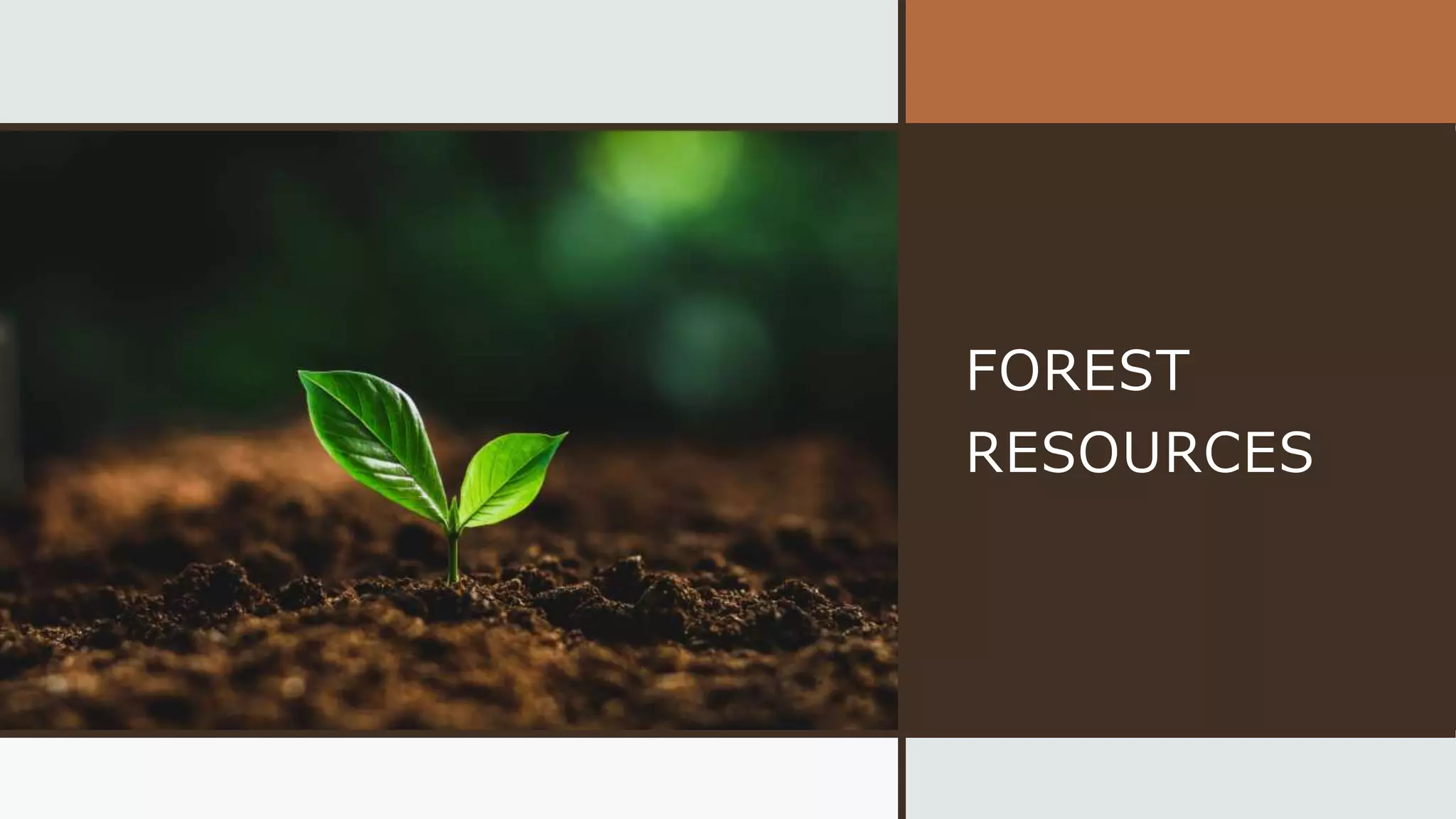 Natural resources - Environmental studies- Forest Resources-Types of Forests- Uses of forests | PPTX