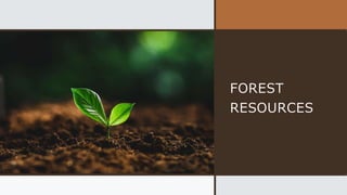 Natural resources - Environmental studies- Forest Resources-Types of ...