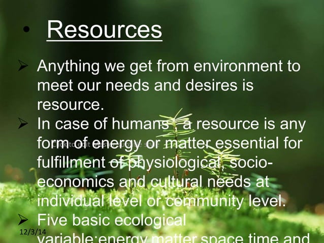 Natural Resources.ppt
