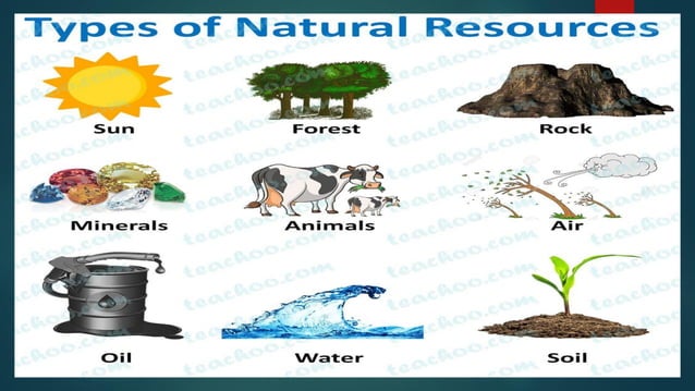 NATURAL RESOURCES.pdf