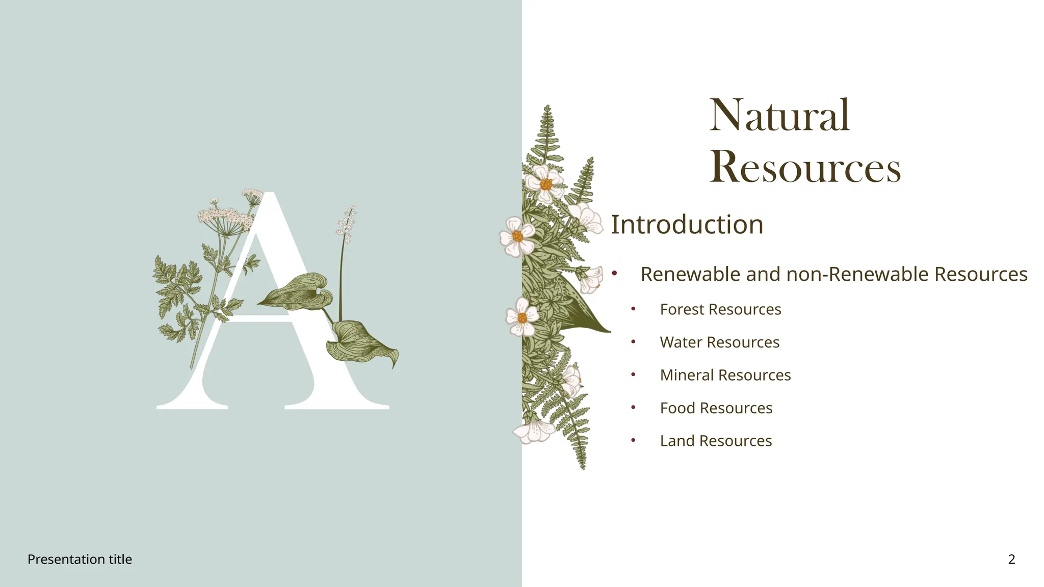 Introduction to the Natural Resources.pptx