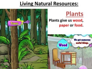Natural resources 2 | PPTX | Food & Drink