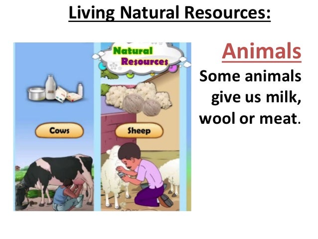 Primary Natural Resources