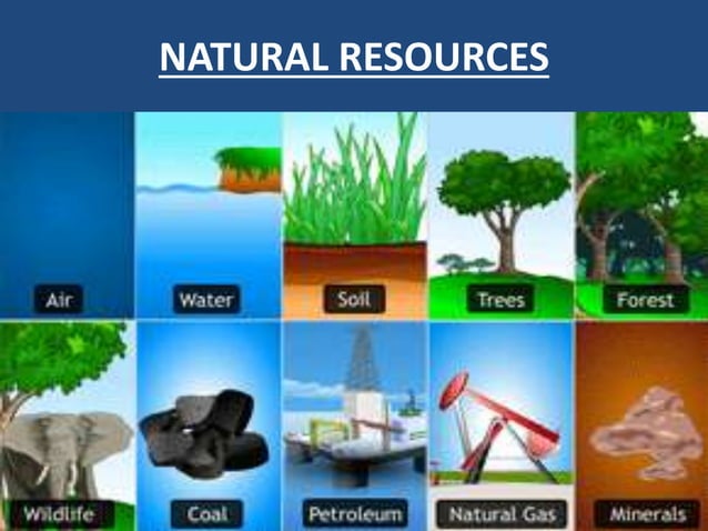 Natural Resources and Conservation | PPT