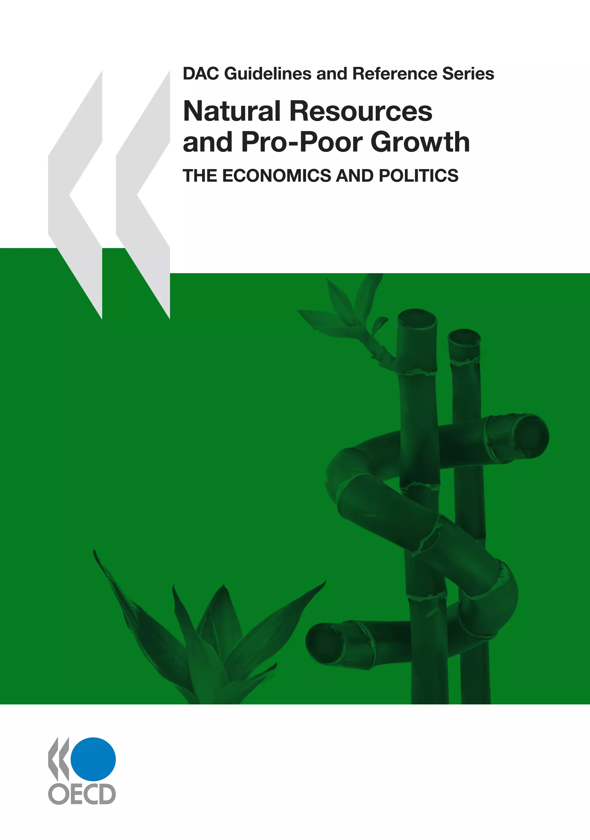 Natural Resources and Pro-Poor Growth | PDF