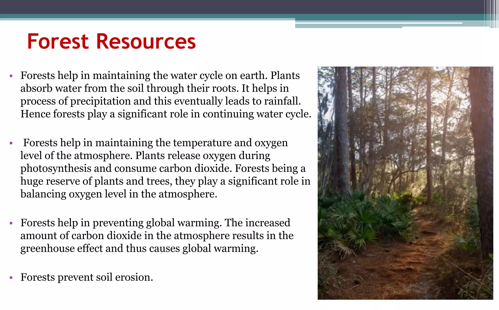 Natural resources and problems | PPTX