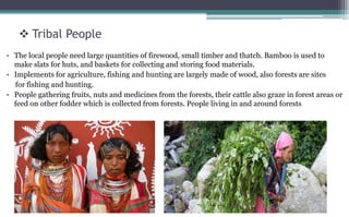 Natural resources and problems | PPTX | Agriculture | Industries