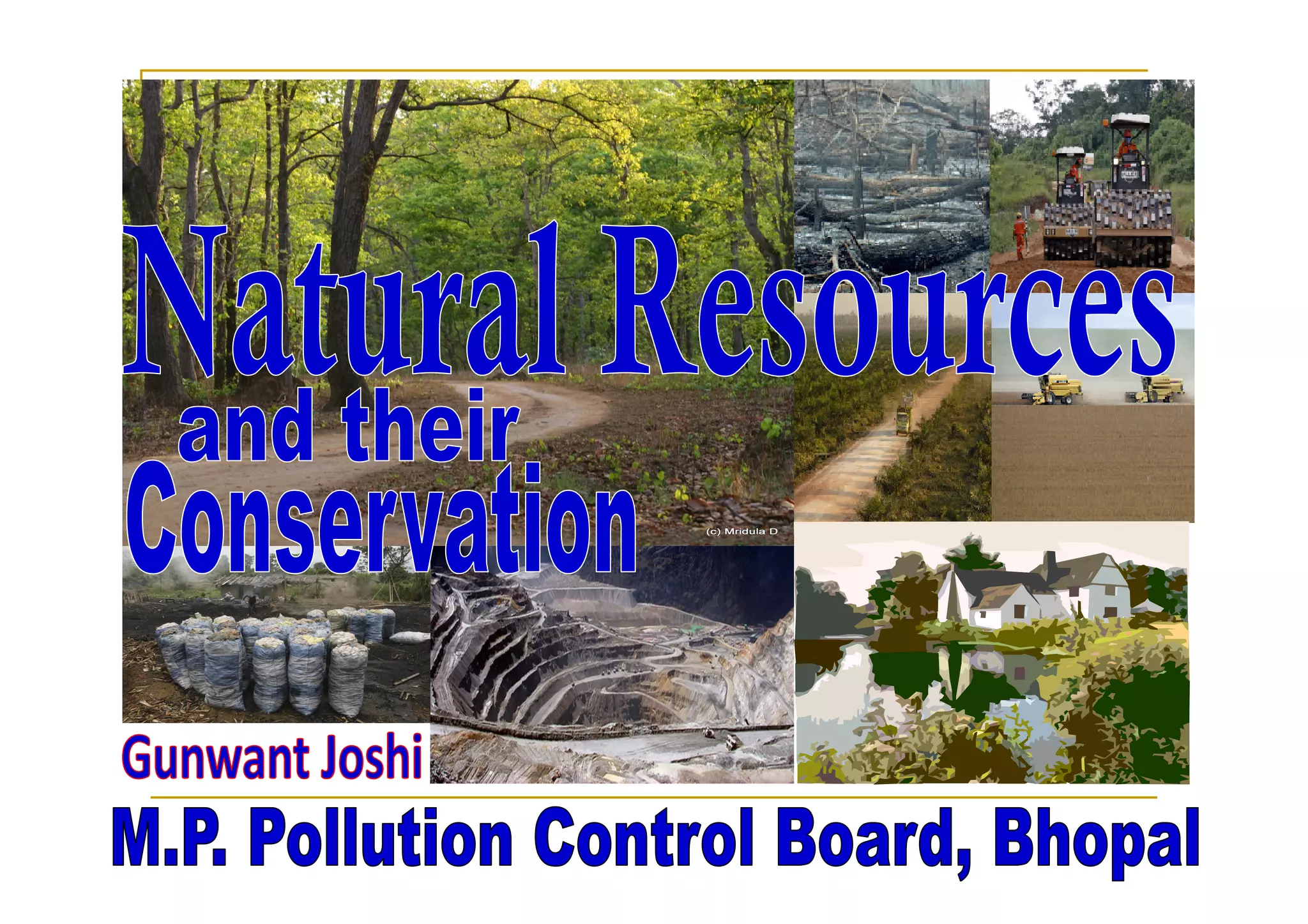 Natural resources conservation | PDF