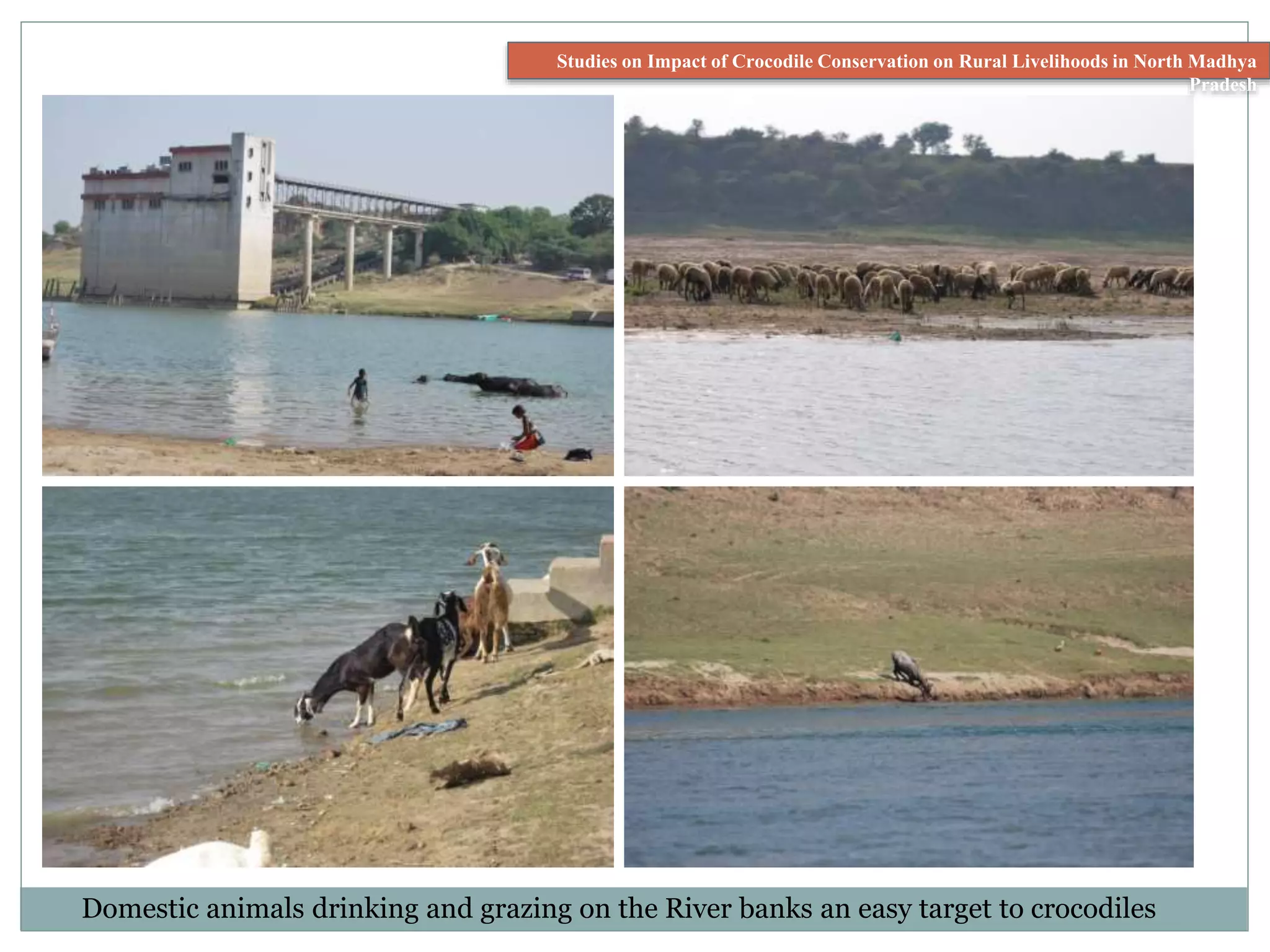 Natural resources conservation and human wildlife conflict | PPT ...