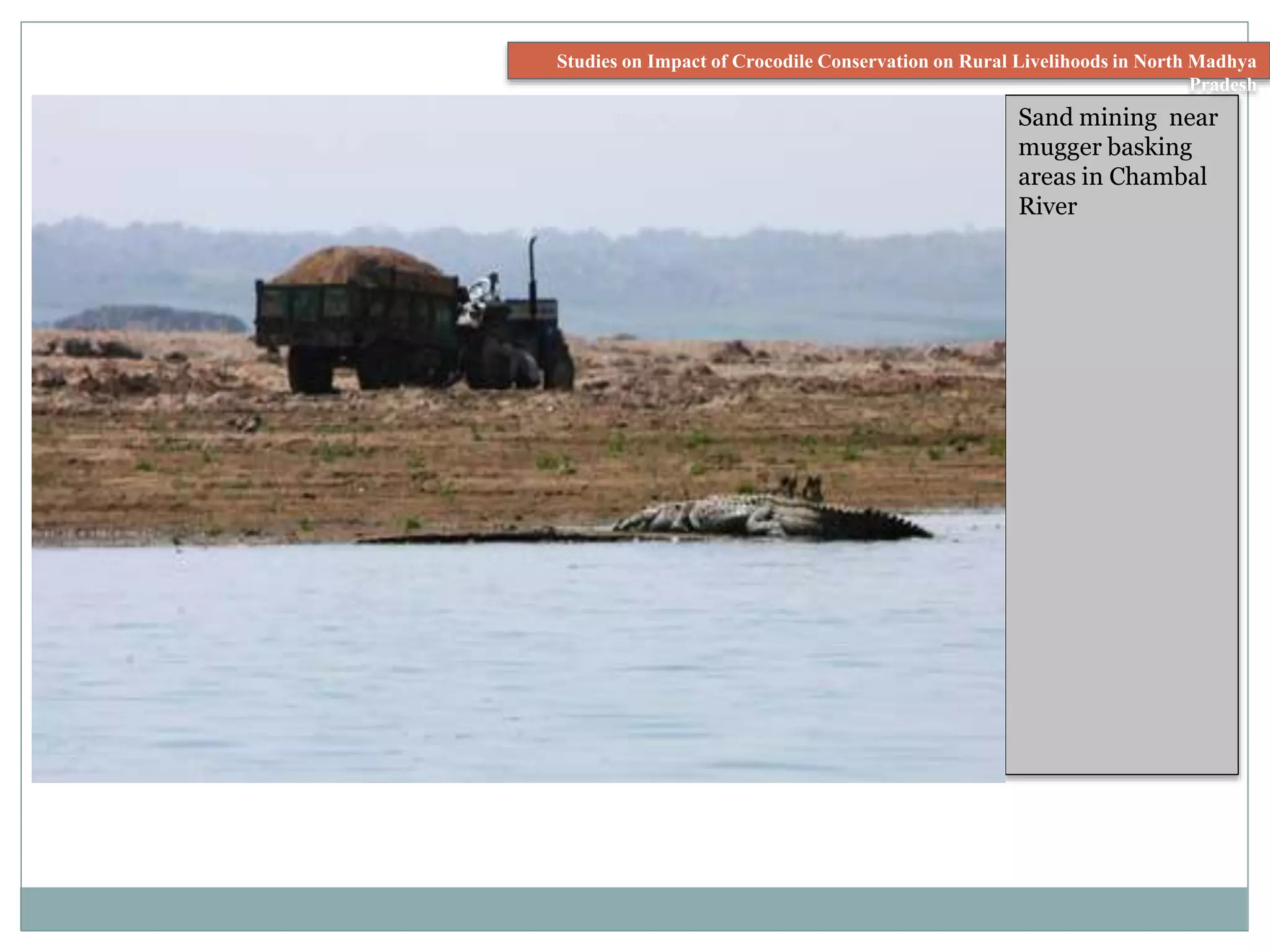Natural resources conservation and human wildlife conflict | PPT ...