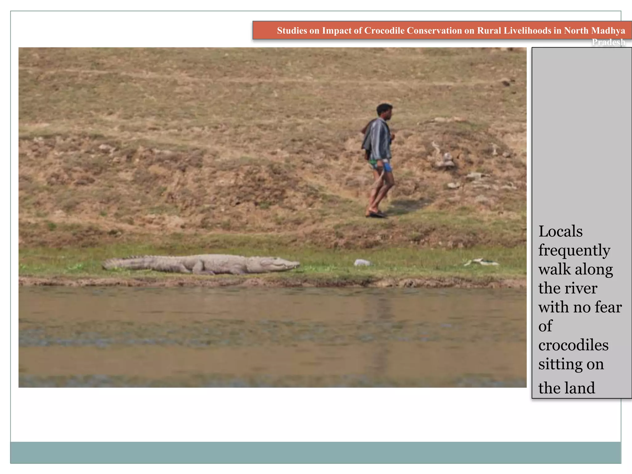 Natural resources conservation and human wildlife conflict | PPT ...