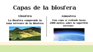 Biosfera: Concepto, características, subsistemas, entre otros. | PDF