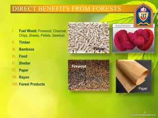 Natural resources types and its uses. | PPTX