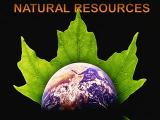 Natural resources final ppt | PPT