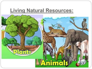 Natural resources g4 | PPTX