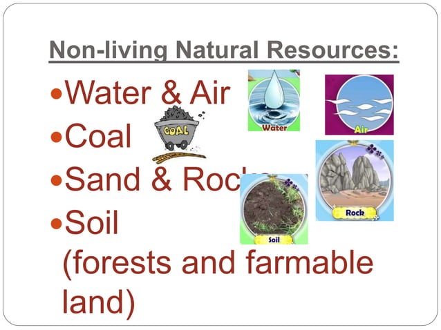 Natural resources g4 | PPT