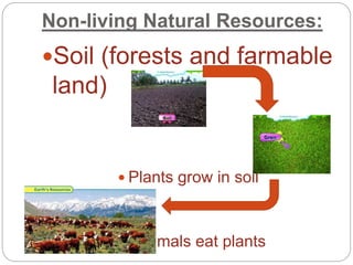 Natural resources g4 | PPT