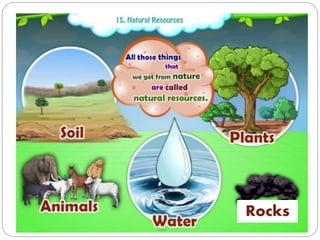 Natural Resources Animals