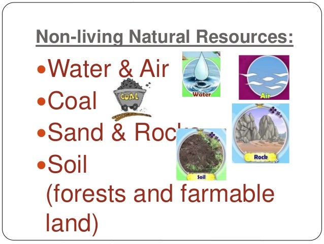 Natural resources g4