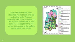 Natural Resources In Sikkim for class 10th.pptx