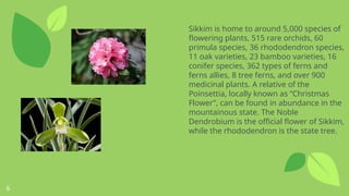 Natural Resources In Sikkim for class 10th.pptx