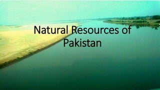 Natural resources of pakistan | PPTX