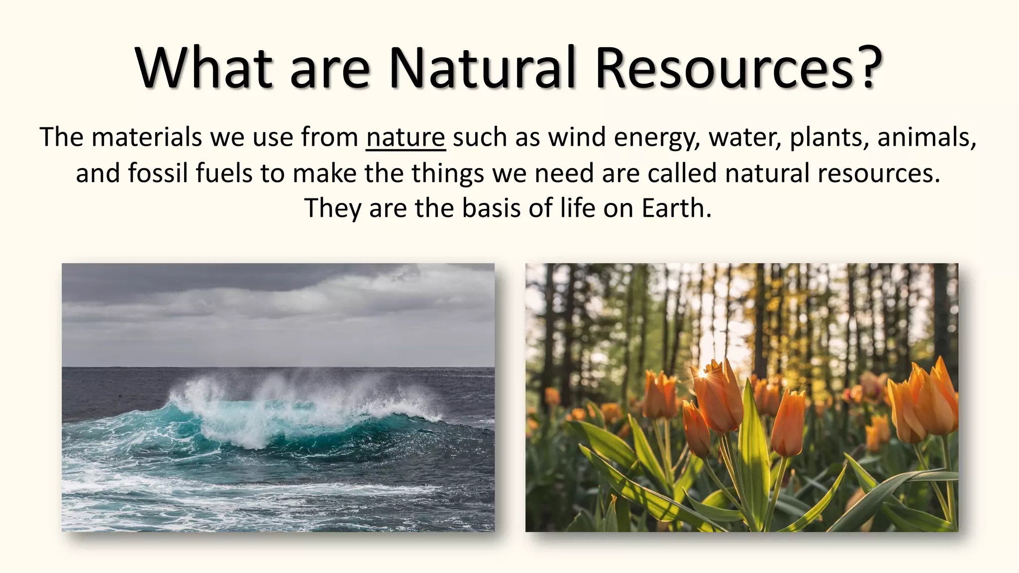 Natural Resources PowerPoint.pdf