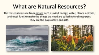 Natural Resources PowerPoint.pdf
