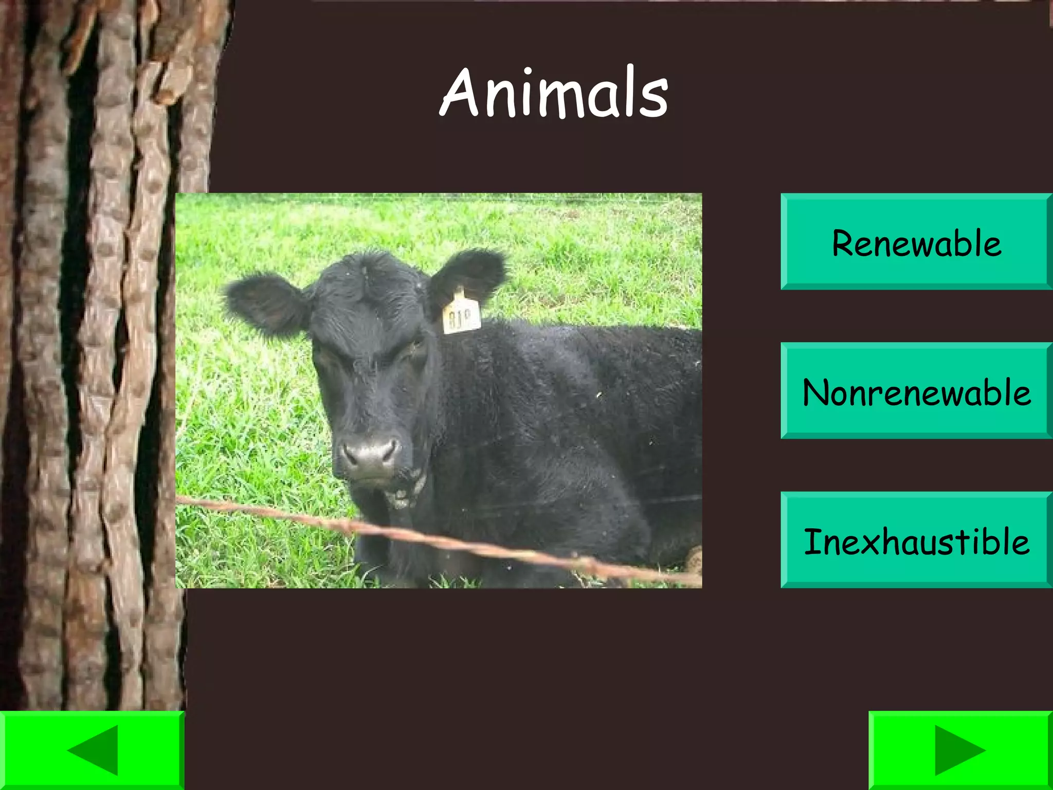 Natural resources ppt | PPT
