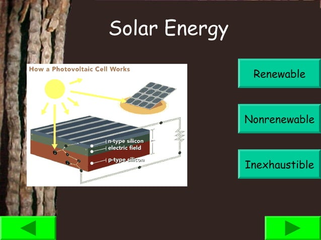 Natural resources ppt | PPT