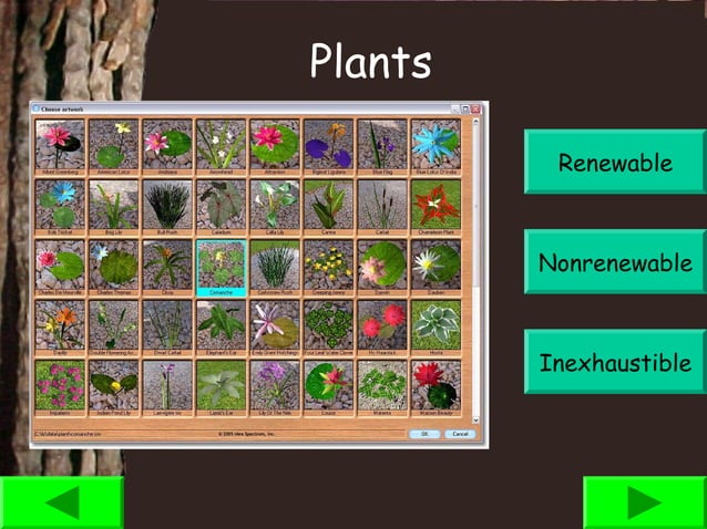 Natural resources ppt | PPT