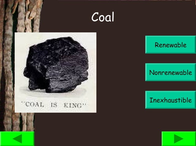 Natural resources ppt | PPT