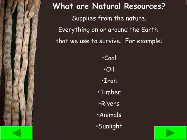 Natural resources ppt | PPT