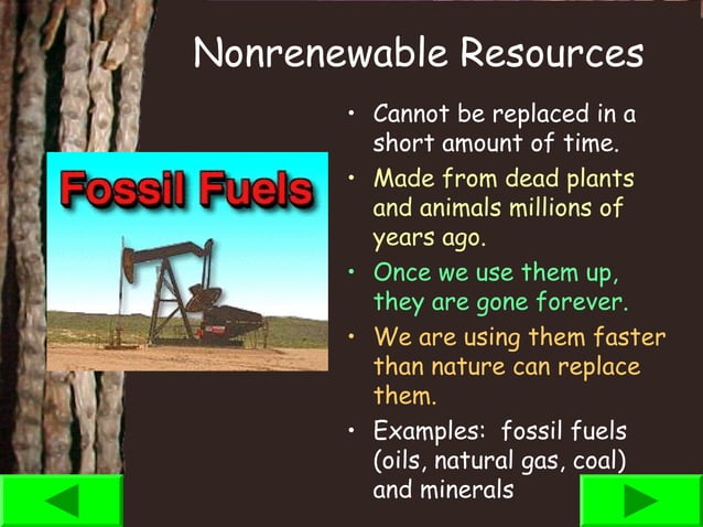 Natural resources ppt | PPT