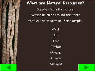 Natural Resources Examples For Kids