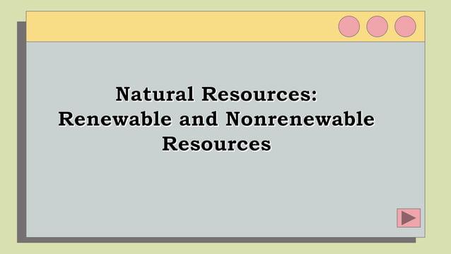 Natural Resources ppt.pdf