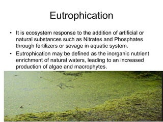 Natural resources environmental studies by Drx.Toni blair Maulana Azad ...