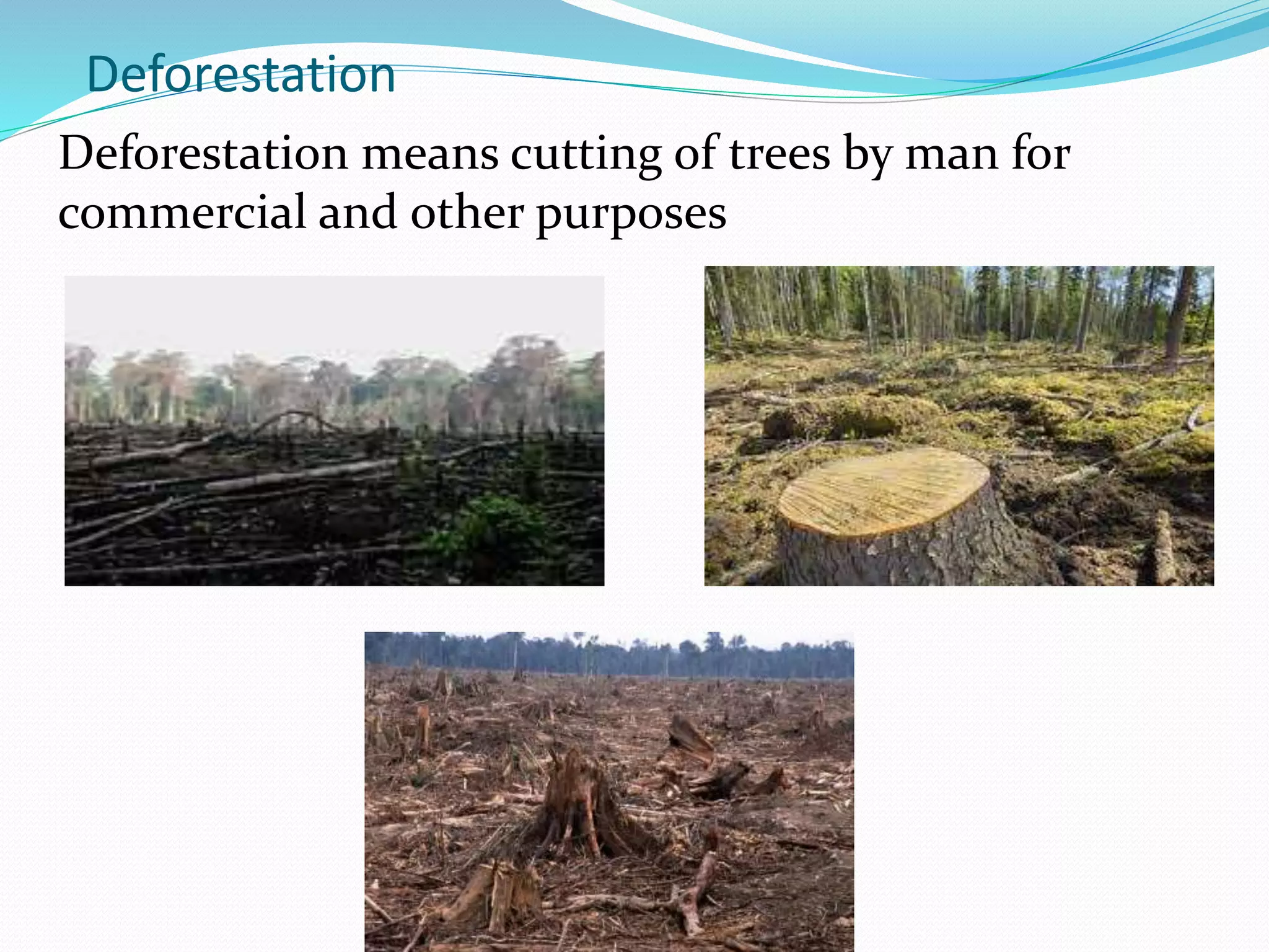 Natural Resourses (Environmental Science) | PPTX