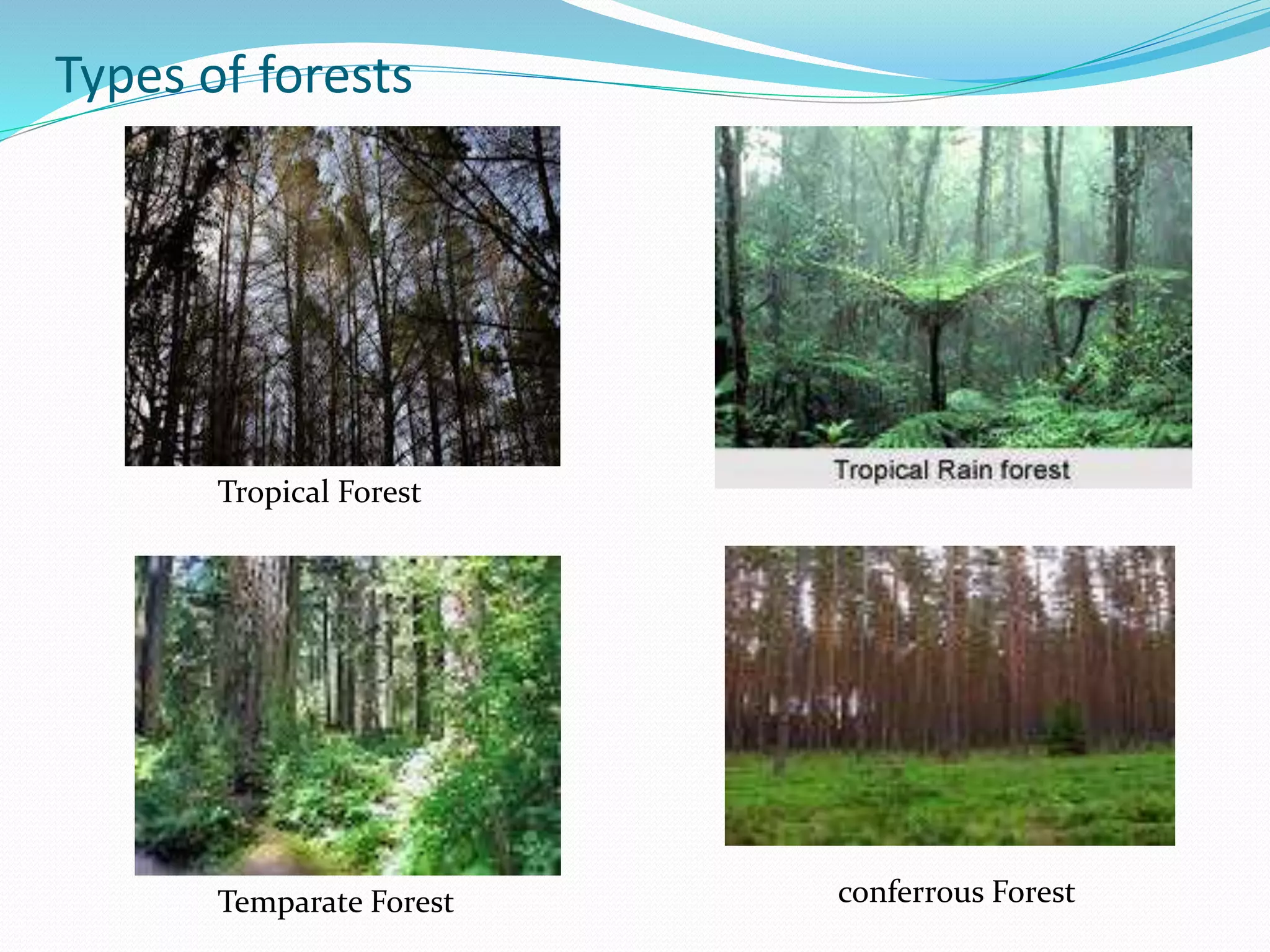 Natural Resourses (Environmental Science) | PPTX