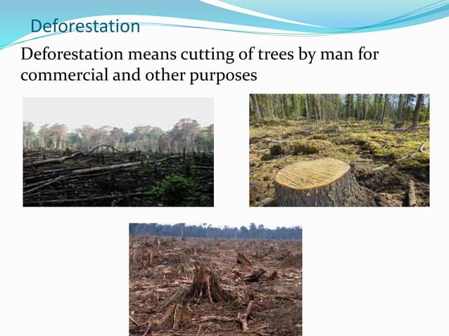 Natural Resourses (Environmental Science) | PPTX