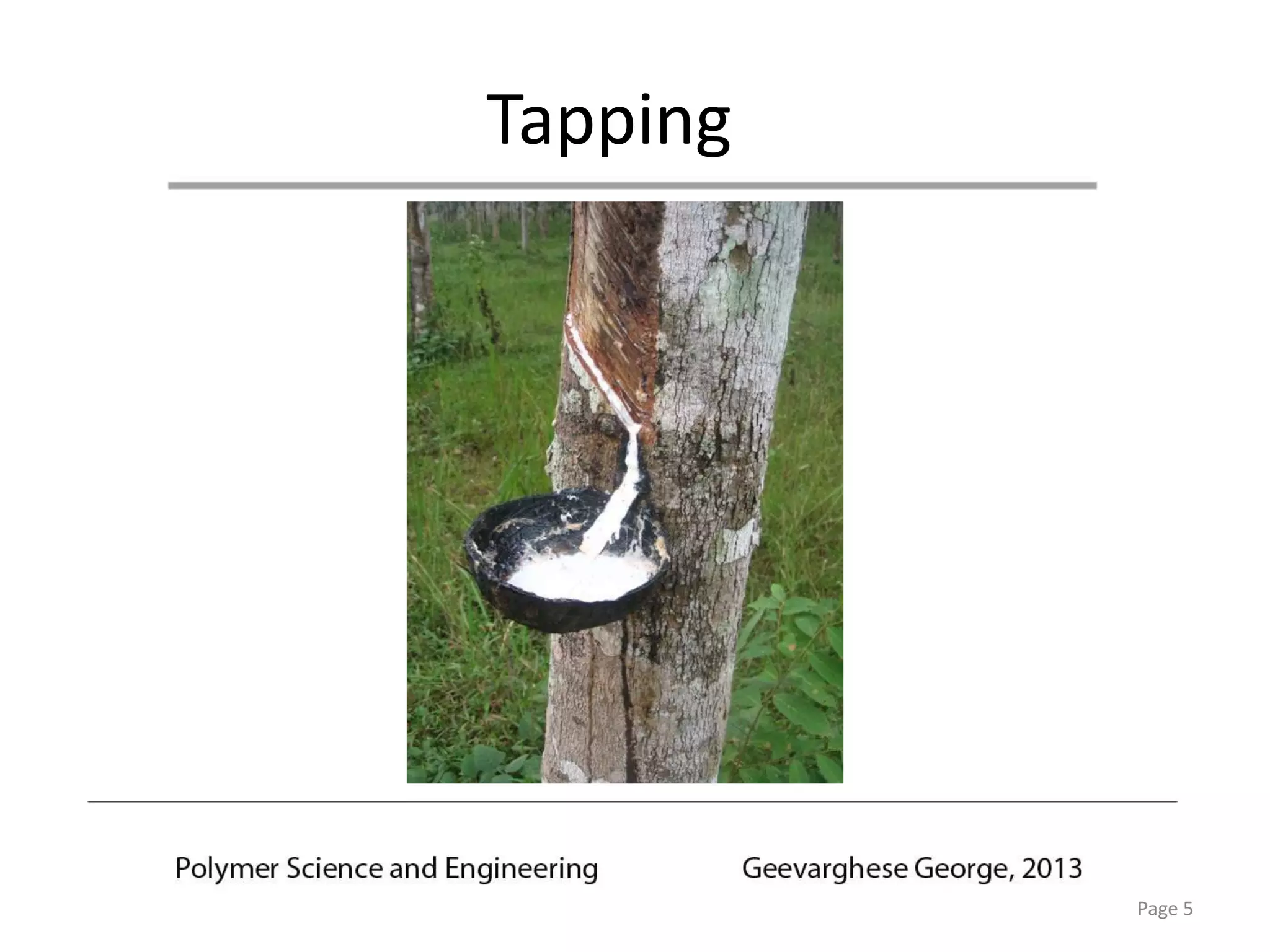 Natural Rubber - Sources, Coagulation & Processing of Coagulate ...