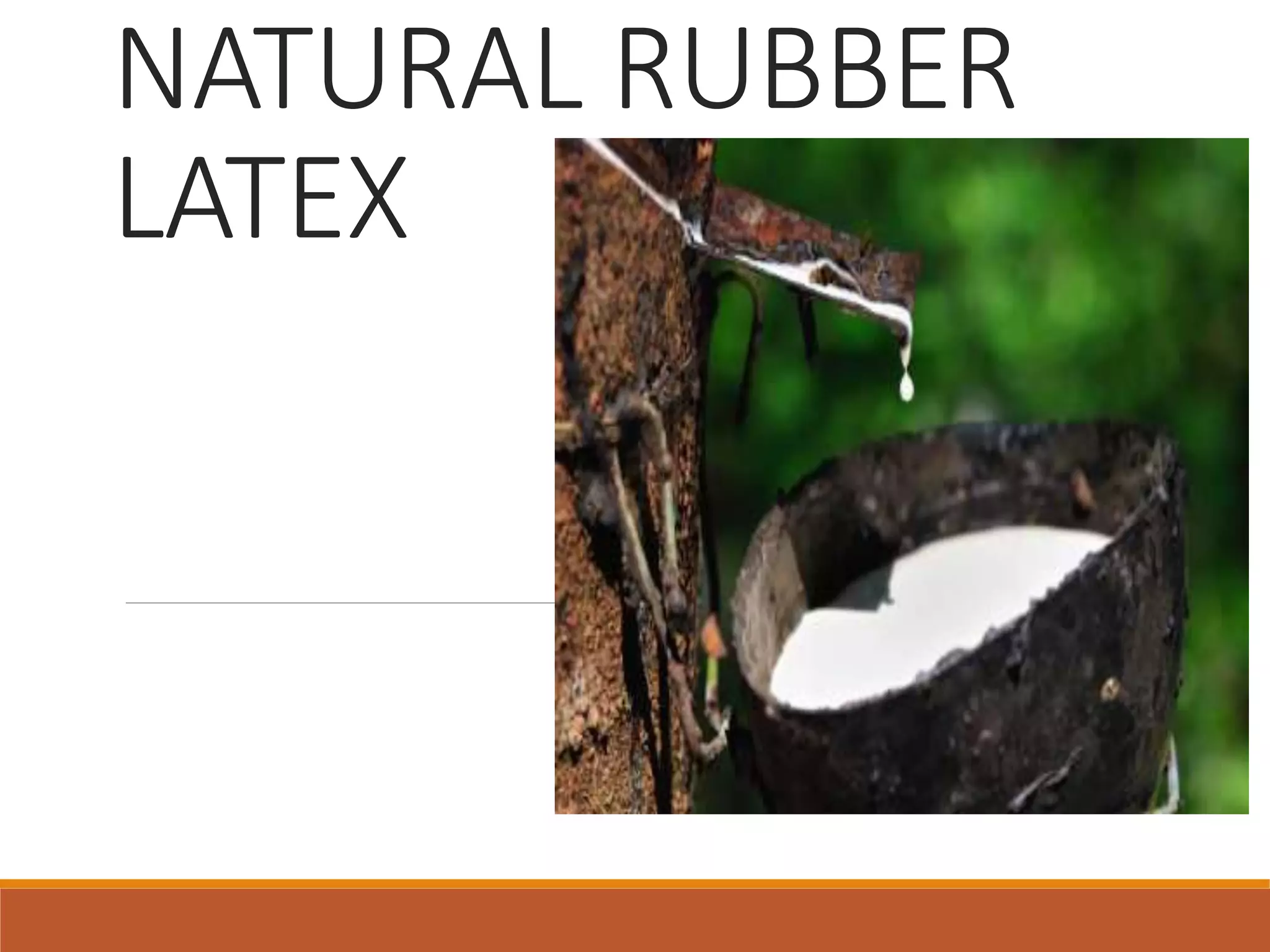 Natural rubber latex | PPTX