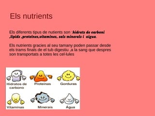 Naturals | PPT