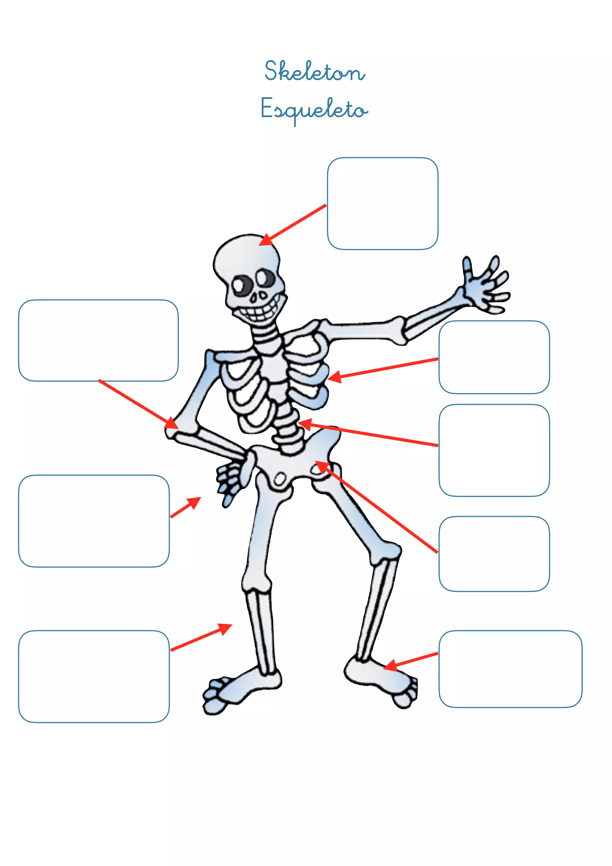 Natural science 2_unit_1_how_my_body_works_worksheet | PDF